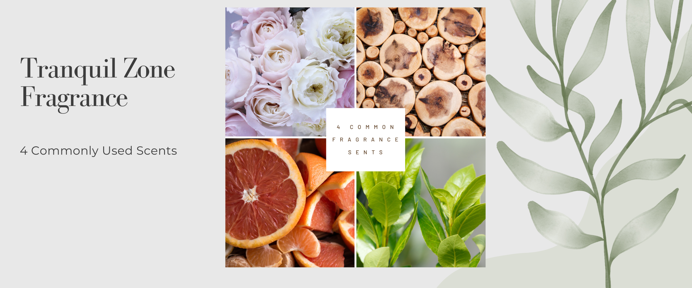 Elegant Home Fragrance – Tranquil Zone. fragrance